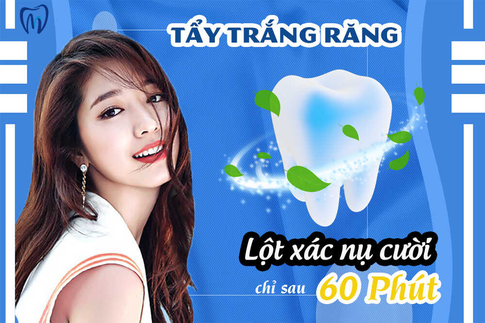 TRANG CHỦ - Mapledent
